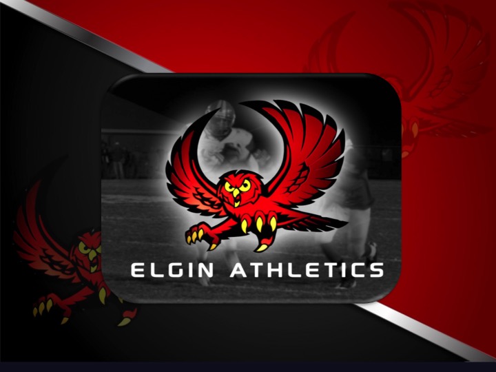 Elgin Owls